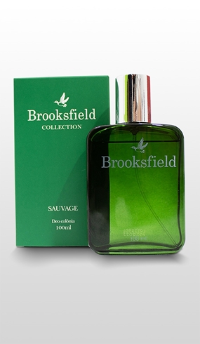 Acessórios masculinos confira a variedade da Brooksfield